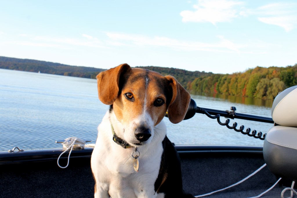 A Fall Sunset Cruise | the creative life in between