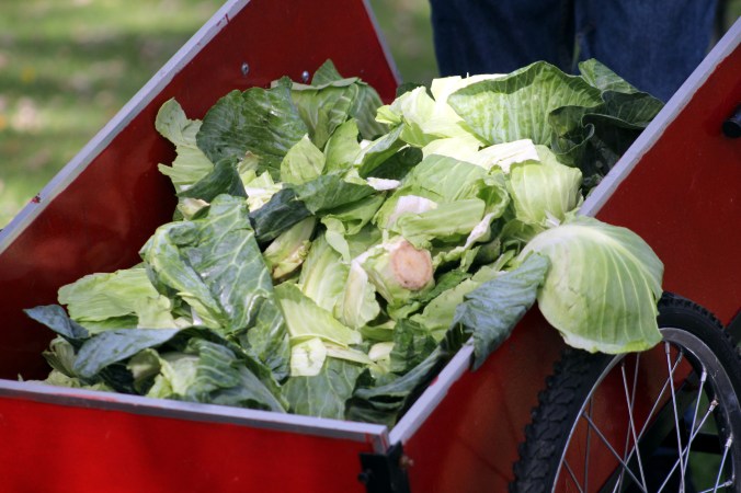 Annual Krautfest Time | the creative life in between