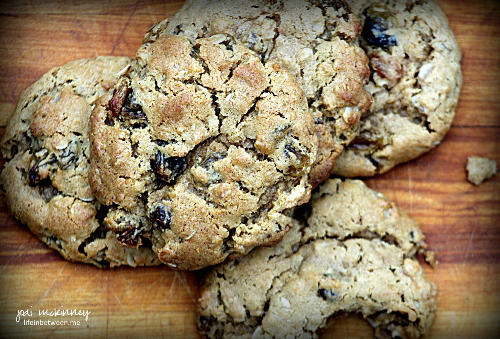 Best-Ever Amish Oatmeal Raisin Cookies | the creative life in between