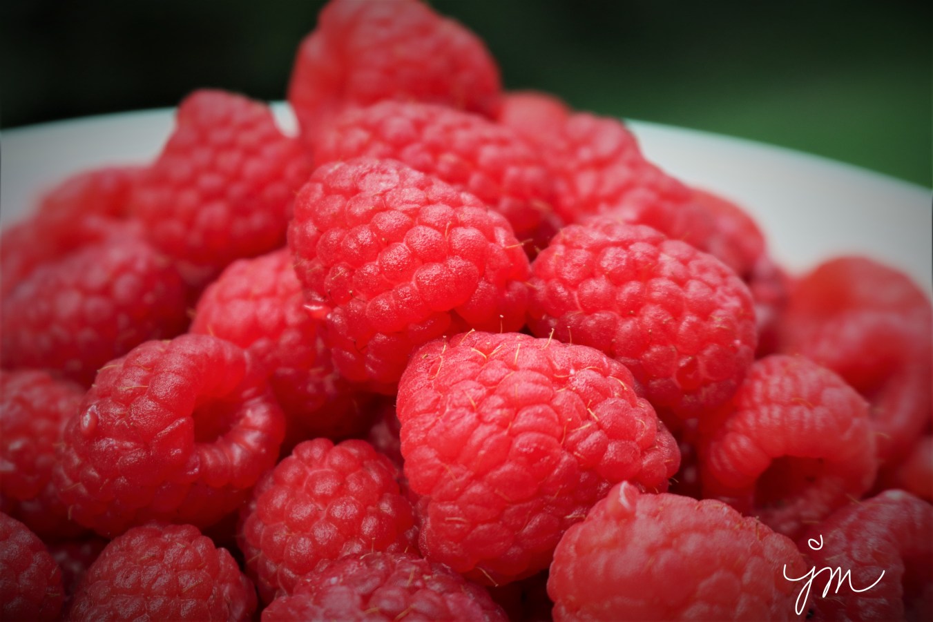 Fresh Red Raspberry Pie | the creative life in between